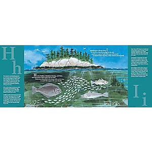 L Is for Lobster: A Maine Alphabet (Discover America State by State)