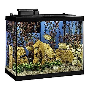 Tetra Aquarium 20 Gallon Fish Tank Kit, Includes LED Lighting and Decor