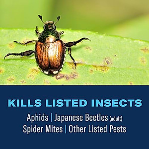 BioAdvanced 3-in-1 Insect, Disease & Plant Mite Control, Ready-to-Spray, 32 FOZ