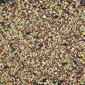 Kaytee Woodlands Wild Bird Food, 20-Pound