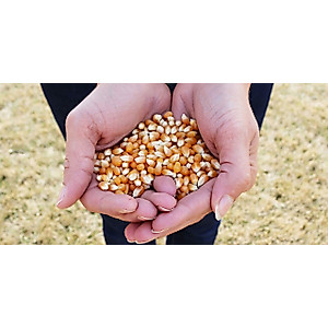 Preferred Popcorn Organic Popcorn, 28 Ounce bag, Pack of 4, 30 Servings Per Bag