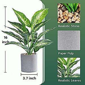 JC nateva 16" Small Fake Plants Artificial Potted Faux Plants for Office Desk Shelf Bathroom Home Decor