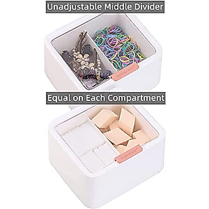 Tecbeauty 2 Slot Cotton Swab Ball Qtip Holder Jar Plastic Container Dispenser Box with Hinged Lid for Bathroom Home Storage Organizer