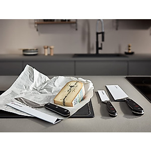 Wusthof Gourmet 4.5" Hard Cheese Knife