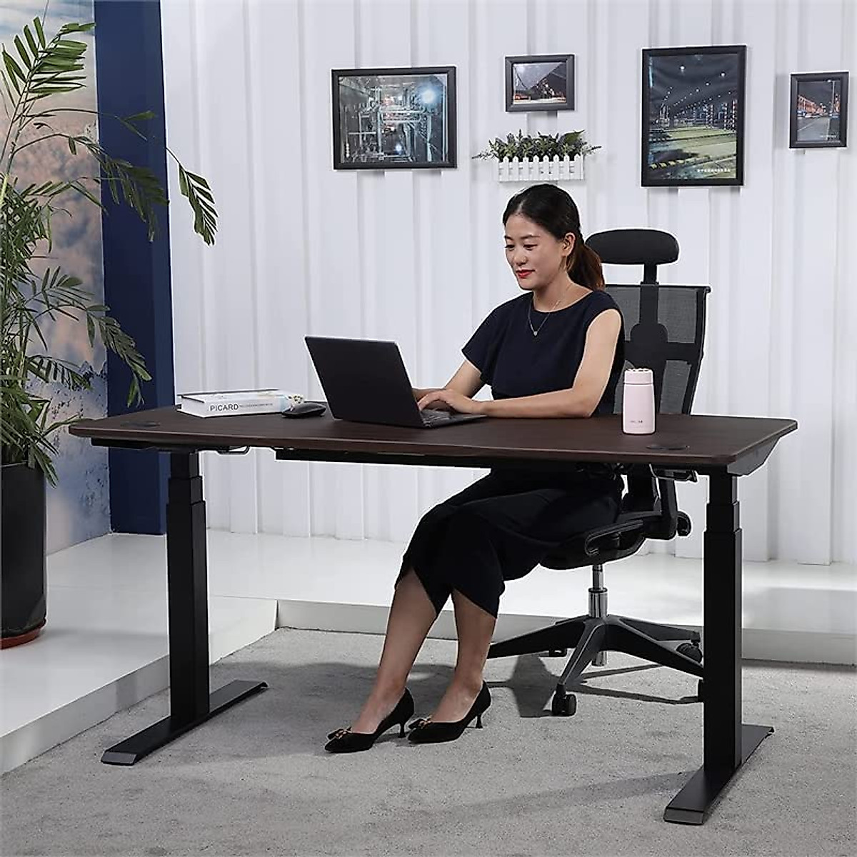 ApexDesk Flex Series 60" Electric Height Adjustable Standing Desk with Curved Top and Memory Preset Controller (Walnut)