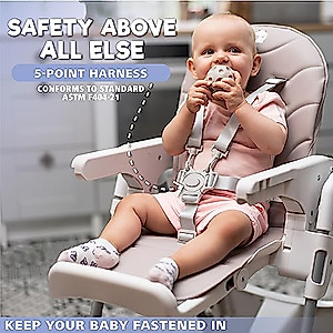 Sweety Fox High Chairs for Babies and Toddlers - Adjustable Portable & Foldable Baby High Chair for Travel & Home - Removable Baby Chair Tray - Compact Reclinable Baby Highchairs