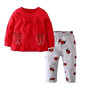 Eghunooy Baby Girls Clothes Set 2 Piece Long Sleeve Ladybug Pattern Infant Outfits (18-24 Months) Red