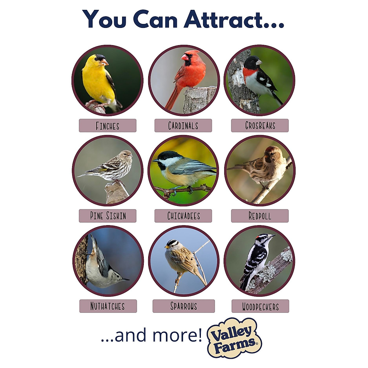 Valley Farms Whole Sunflower Hearts for Birds - A no Waste Bird Seed - No Mess Bird Seed for Outside Feeders, Tray or Tube Feeders - Sunflower Seeds for Wild Birds 40 LBS