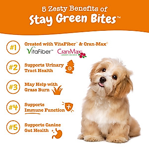 Multifunctional Supplements for Dogs - Glucosamine Chondroitin for Joint Support + Stay Green Bites for Dogs - Grass Burn Soft Chews for Lawn Spots