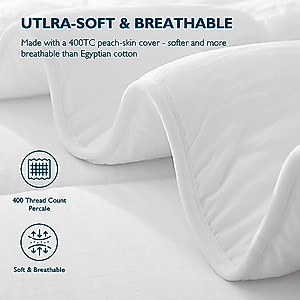 Dafinner Lightweight Full Queen Bed Comforter, Cooling All-Season Duvet Insert, White Plush Bio-Base Down Alternative Quilt Bed Blanket for Summer Warm Weathers/Hot Sleepers
