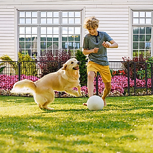 YITAHOME Garden Fence Outdoor Animal Barrier Fence Dog Fences for The Yard Metal Fence Border for Patio/Lawn (8Pcs 32inch)