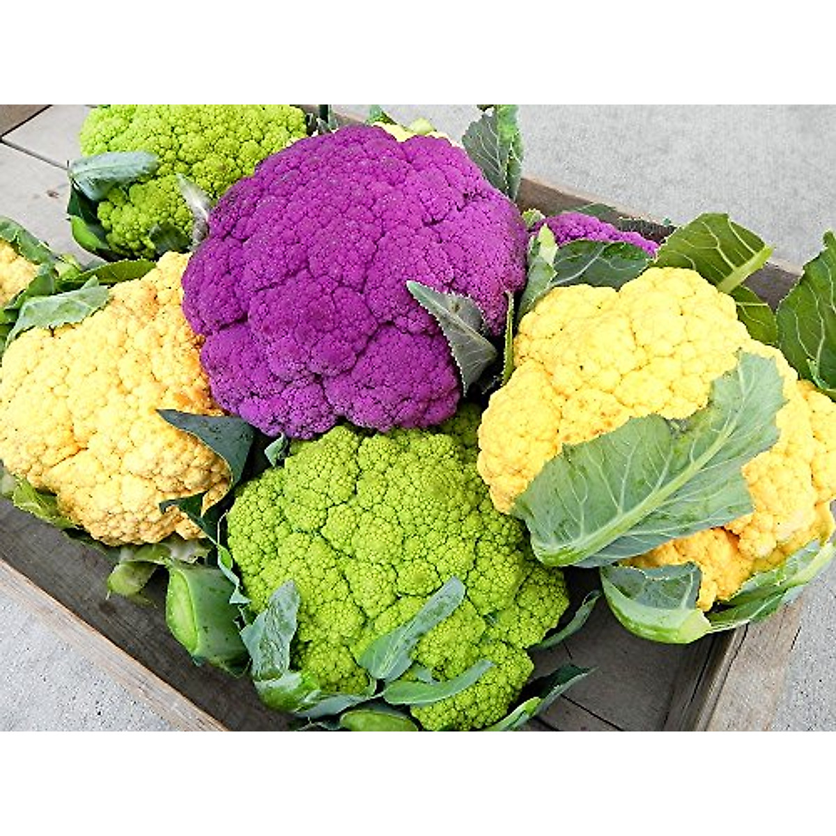 Please Read! This is A Mix!!! 50+ Cauliflower Mix Seeds Heirloom Non-GMO 4 Varieties Purple Green Yellow Delicious from USA