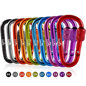 Zalava 2" 10 pcs D-Clip Durable Locking Carabiner Clips Keychain Clip, Spring-Loaded Aluminum Keychain Clip Hook, Screwgate Locking Carabiner Clip Outdoor, Indoor, or Dog Leash Round