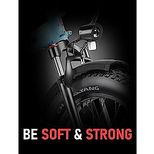 Hipeak Bona Electric Bike for Adults, Ebike 750W/48V/15Ah, 20" x 4.0" Fat Tire Electric Bike Folding with Removable Battery, Step-Over Folding Adult Electric Bicycles Front Shock Absorber