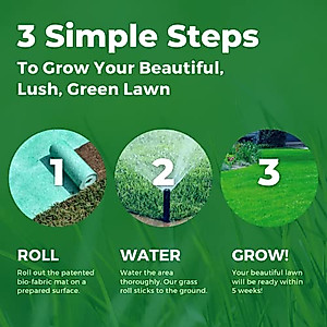 Grotrax Biodegradable Grass Seed Mat - 100 sqft Year Round Green - Grass Seed and Fertilizer for Lawns, Dog Patches & Shade - Just Roll, Water & Grow - No Fake or Artificial Grass