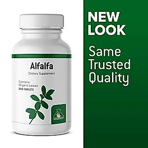 Graminex Alfalfa Tablets - Non-GMO Green Superfood Supplement with Vitamins, Minerals, Amino Acids - 240 Tablets