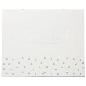 C.R. Gibson BA3-24591 Gender Neutral Welcome Baby's First Year Keepsake Calendar, 11" W x 18" H, Gray and Silver