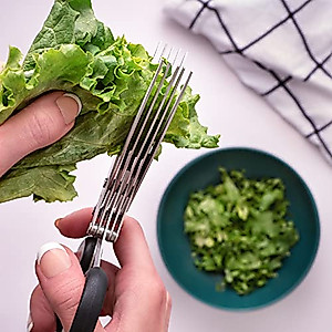 Jenaluca Herb Scissors with 5 Blades and Safety Cover - Cut, Chop & Mince Fresh Herbs & Leafy Greens - Stainless Steel Kitchen Shears with Cleaning Comb - Cool Kitchen Gadgets (Green)