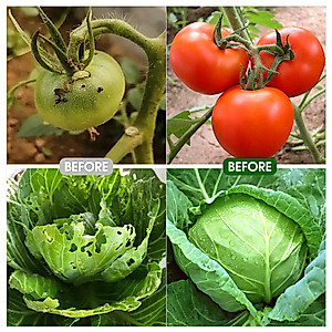 Garden Mesh Netting Kit, Plant Covers 10x30ft Ultra Fine Mesh Netting with 6 Sets Garden Hoops ＆12 Clips, Bird Netting Protection for Fruit Vegetable Flowers Animals Greenhouse Cover