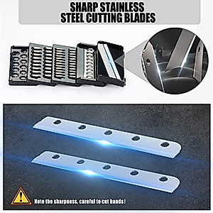 EOIBIS Vegetable Chopper, Pro Onion Chopper, 13-in-1 Mandoline Slicer professional food Chopper multifunctional Vegetable Chopper and Slicer, Dicing Machine, Kitchen Gadgets Sets with Container(Black)