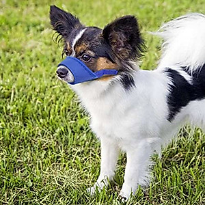 Parts Express Dog Muzzle, Soft Anti-Biting Barking Chewing Muzzle, Breathable Waterproof Adjustable Muzzle for Small Medium Dogs,Blue (XXS)