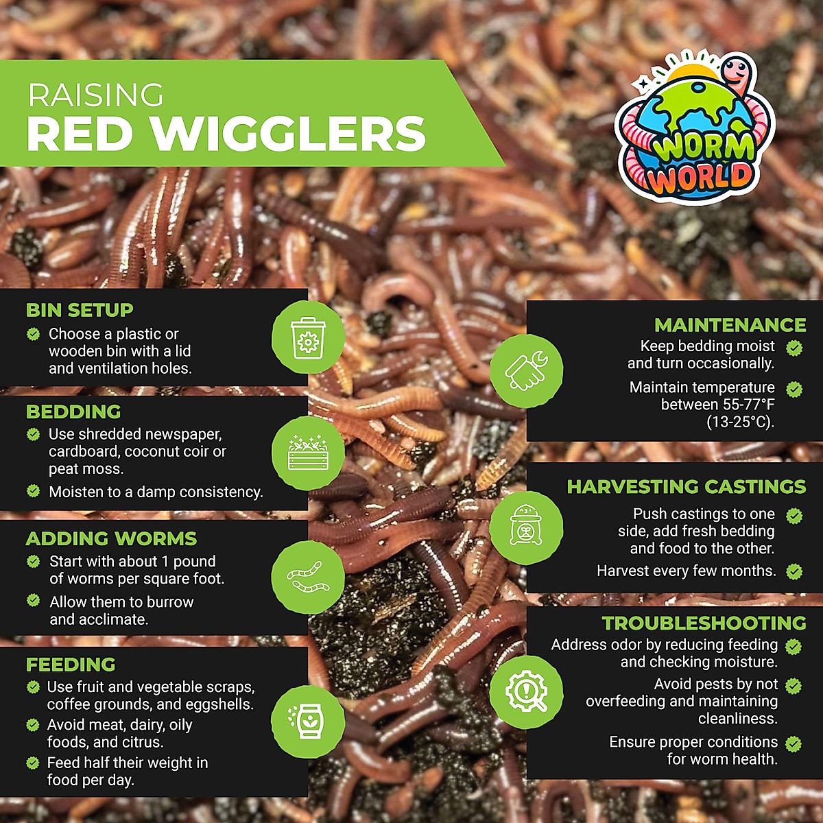 500 Live RED WIGGLERS, Compost Worms, COMPOSTING Bins (~1/2 Pound)