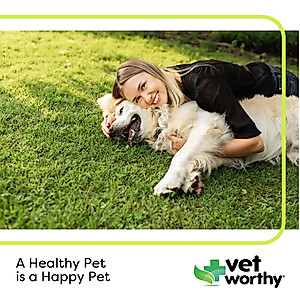Vet Worthy Adult Multi Vitamins - Multivitamin for Dogs to Support Optimum Health and Overall Wellness - Dog Supplement with Iron, Magnesium, Zinc, Vitamin A, B Vitamins - Liver Flavor, 60 Tablets