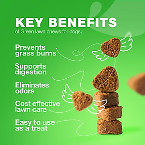 Grass Burn Spot Chews for Dogs - Dog Urine Neutralizer for Lawn - Grass Savers for Dog Urine - Dog Pee Lawn Spot Saver Caused by Dog Urine - Grass Treatment Rocks - Probiotics, Enzymes & Multivitamins