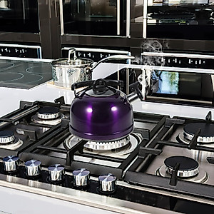 Luxshiny Stainless Steel Spherical Kettle Kettle Large Capacity Flat Bottom Kettle Chime Kettle Electric Water Heater Pink Tea Kettle Camping Kettle Whistling Pot Purple Coffee Boiler