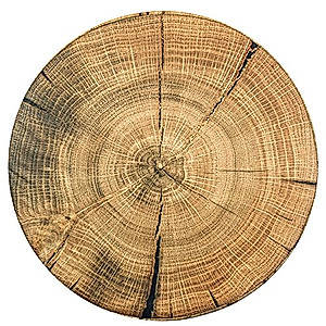 Sorbus Storage Ottoman, 15 Inch Cute 3D Play Room-Stool Toy Box – Foldable with Lid – Perfect Footstool, Pouffe, Hassock, Strong & Sturdy Space Saving Chest (Tree Stump)