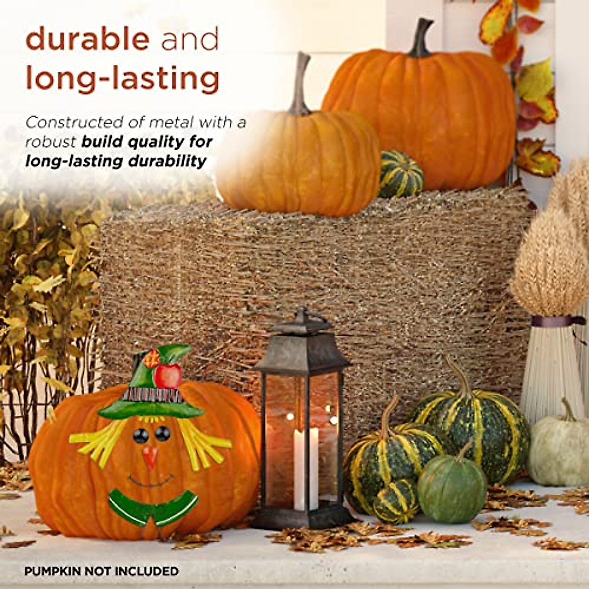 Alpine Corporation LAZ156A Alpine Seasonal Kit Harvest Pumpkin Decor, 10 x 0.2 x 8, Multi