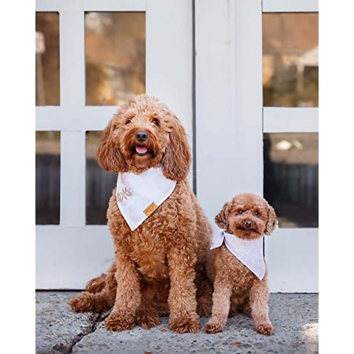 Remy+Roo Dog Bandanas - 4 Pack | Shannon Set | Premium Durable Fabric | Unique Shape | Adjustable Fit | Multiple Sizes Offered (Large)