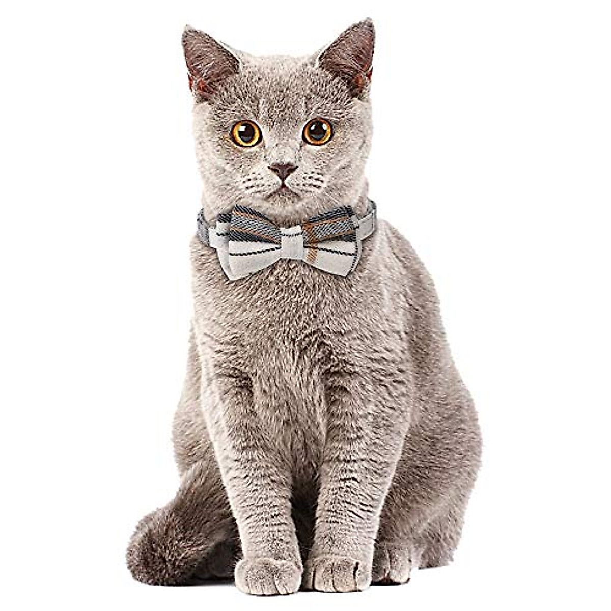 Faleela Breakaway Cat Collar with Bells - 2 Pack Cat Collar with Bells, Cat Collars with Bandana, Accessories for Pet Collars, Adjustable for Cats and Small Dogs