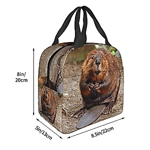 Larklitz Cute Funny Beaver Reusable Insulated Lunch Bag, 8.5in x 8in x 5in, Polyester, For Women Men