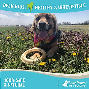 Raw Paws Compressed Rawhide Rings for Dogs, 6-inch, 5-Count - Packed in The USA - Rawhide Ring for Dogs - Digestible Rawhide Donuts - Natural Hide Dogs Chews - Natural Puppy Teething Rings