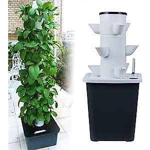 Hydroponic Growing System, DIY Garden Hydroponic Growing System, Indoor Herb Garden Kit with Hydrating Pump, Adapter, Net Pots, Timer,(Color:15holes,Size:)