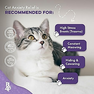 Pet Relax Cat Calming Anxiety Relief - Natural Calming Care for Cats, Cat Stress and Anxiety Relief, Soothes Separation Anxiety, Homeopathic Feline Aid for Travel - 400 Odorless, Tasteless Pills