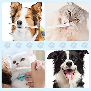 Newday Small Dog & Cat Toothbrush 5 Set, Micro Nano Bristles to Clean pet Teeth Toothbrushes, Puppy Dogs Pet Tooth Cleaning Kit with Storage Box（White