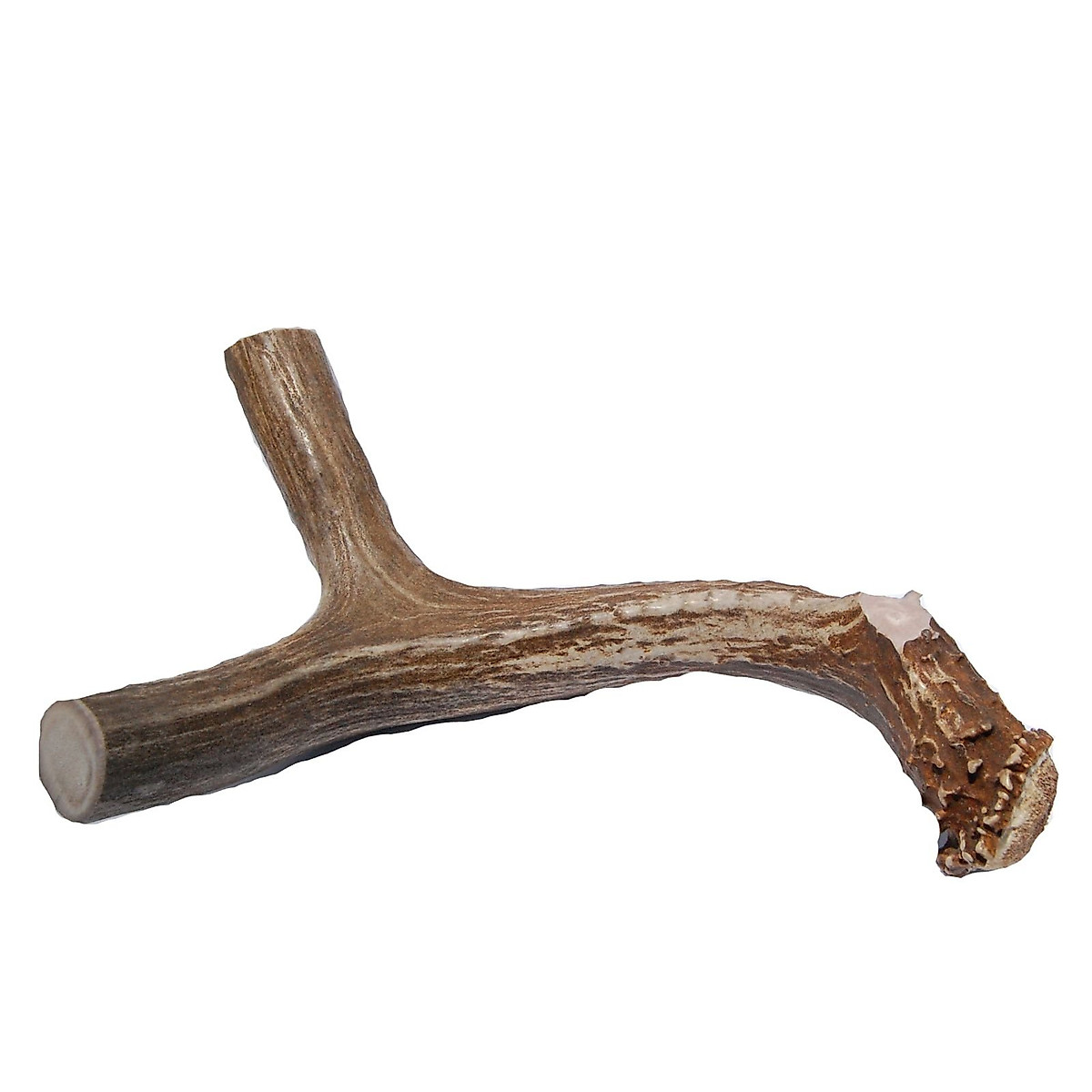 XL Deer Antler Dog Chew - Extra Large, Jumbo, for Large Dogs and Puppies Who are Aggressive Chewers