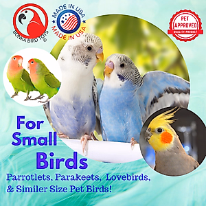 Bonka Bird Toys 2935 Pk24 Mini Colored Sola Sticks Foot Talon Craft Part Bird Toys Cockatiel Conure Amazon and Similar