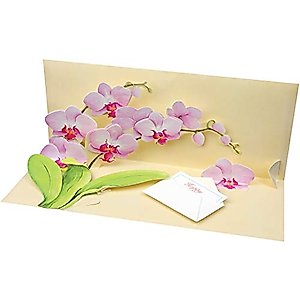 POP UP Panoramic Greeting Card Potted Orchid Any Occasion