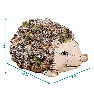 Sunnydaze Hazel The Hedgehog Garden Statue Decor - Hand-Painted Sculpture for Patio, Lawn, Garden and Indoor Living Spaces - 7-Inch