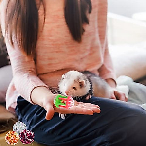 HAICHEN TEC 11 Pack Ferret Toys Set - Mylar Crinkle Balls Hollow Sound Toy with Bell Interactive Exercise Scratch Play Chasing Chewing Toys Random Color for Indoor Pet Ferret Cat Kittens (11 Pack)