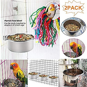kathson 2 Pack Bird Feeding Cups with Clamp Holder, Parrot Food & Water Cage Hanging Bowl Stainless Steel Coop Cup Dish Feeder for Parakeet Cockatiels Conure Budgies Lovebird Finch