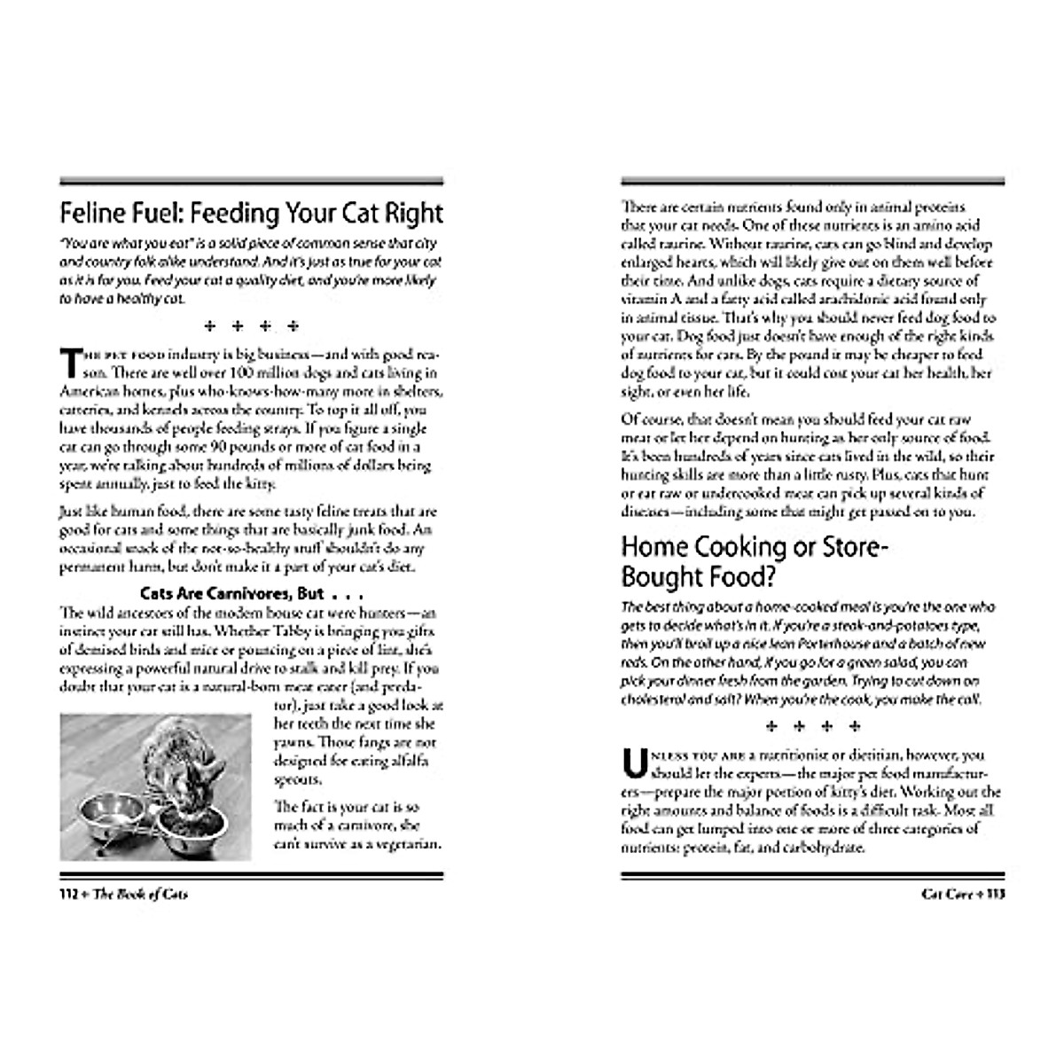 The Book of Cats: House Cats, Big Cats, Black Cats, Poetic Cats: History, Breeds, Tricks, Trivia, Stories, and More!