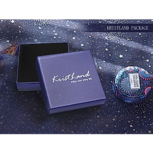 KristLand - S925 Silver/Alloy Hook Sleek Chain Tassel Drop Earrings Long Crystal Fringe Dangle Simple Dainty Earrings Tassel Earrings A Zircon Silver