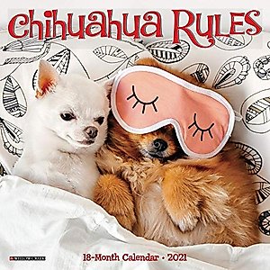 Chihuahua Rules 2021 Mini Wall Calendar (Dog Breed Calendar)