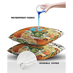 Fall Thanksgiving Pumpkin Outdoor Pillow Cover 16x16 Inch Cushion Sham Case,Happy Autumn All Yall Farmhouse Waterproof Decorative Square Throw Pillowcase for Garden Patio Porch Couch Chair Tent