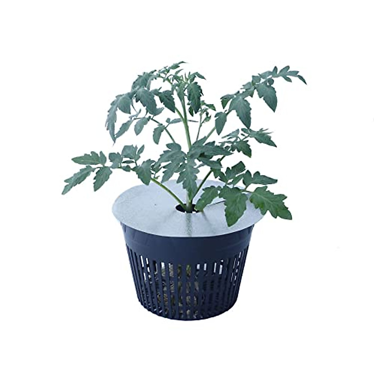 HORTIPOTS 5 Inch Net Pots Raised Center Bottom Mesh Side Wide Rim Round Cup with Free Reflective Top Lids for Hydroponics Systems (Pack of 10, Black)