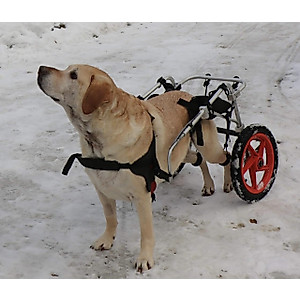 Best Friend Mobility Standard Rear Support Dog Wheelchair FML Elite, Large